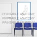 Foot, Human Anatomy Print, Bones of the Foot, Abstract Line Art ...