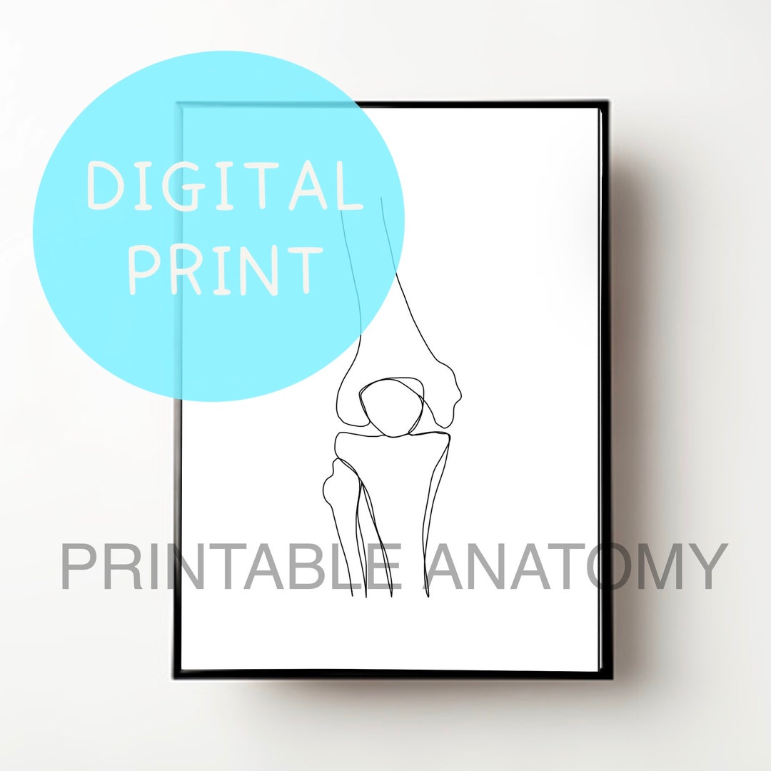 Knee, Human Anatomy Print, Abstract Line Art, Minimalist, Physiotherapy ...