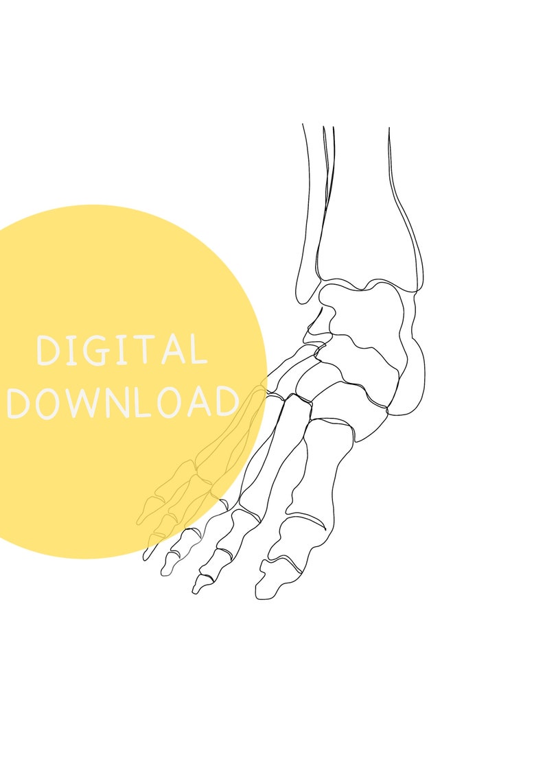 Foot, Human Anatomy Print, Bones of the Foot, Abstract Line Art ...