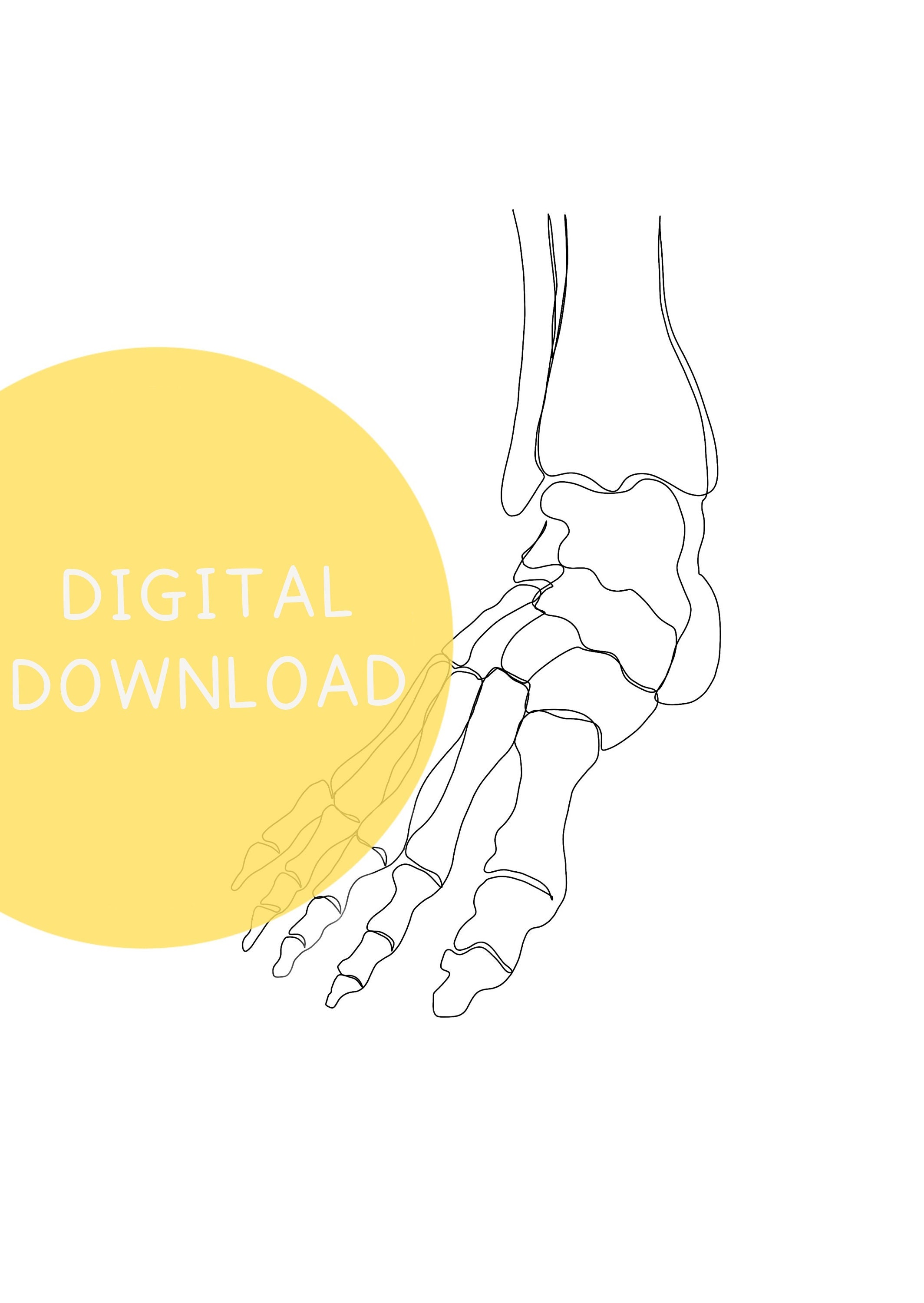 Foot, Human Anatomy Print, Bones of the Foot, Abstract Line Art ...