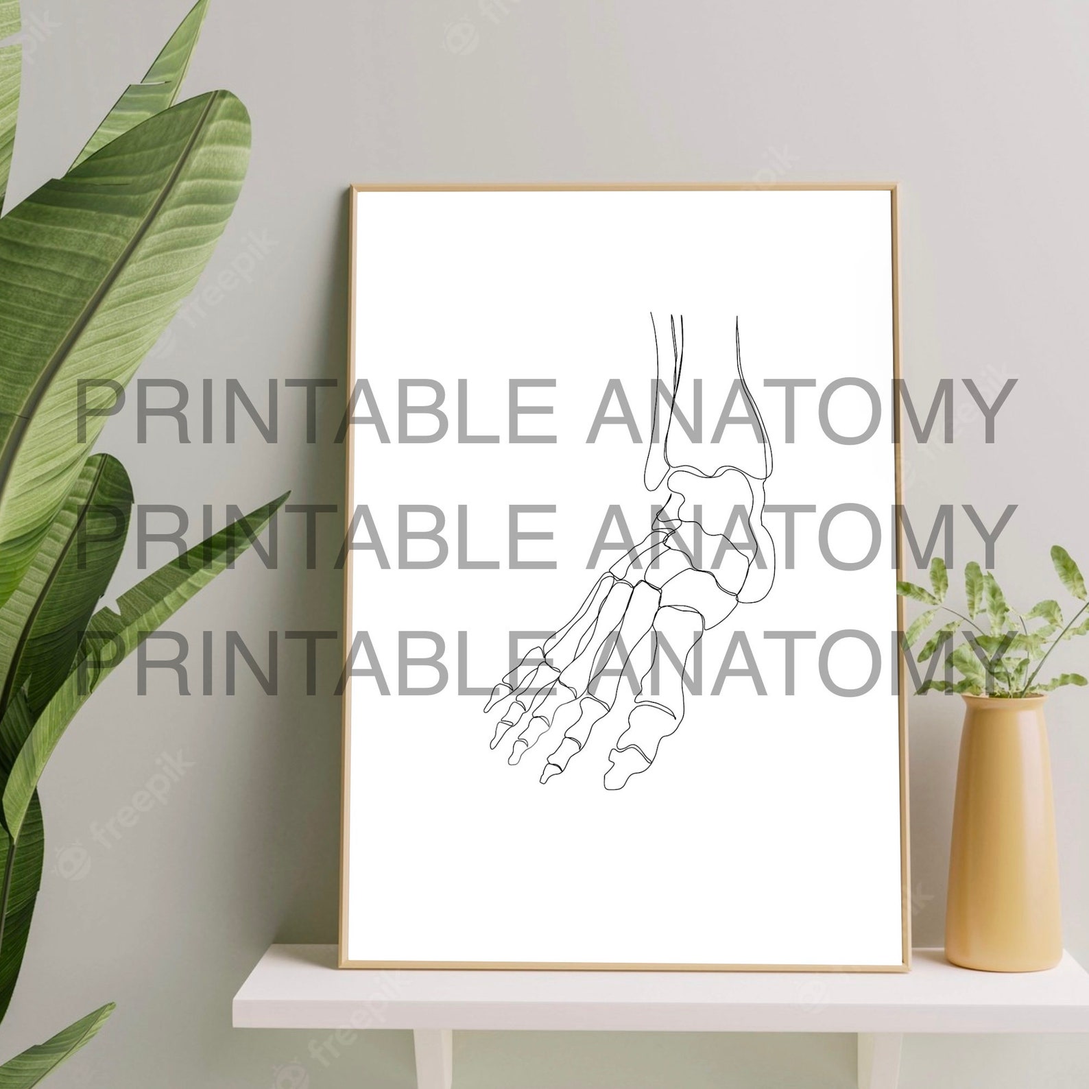 Foot, Human Anatomy Print, Bones of the Foot, Abstract Line Art ...
