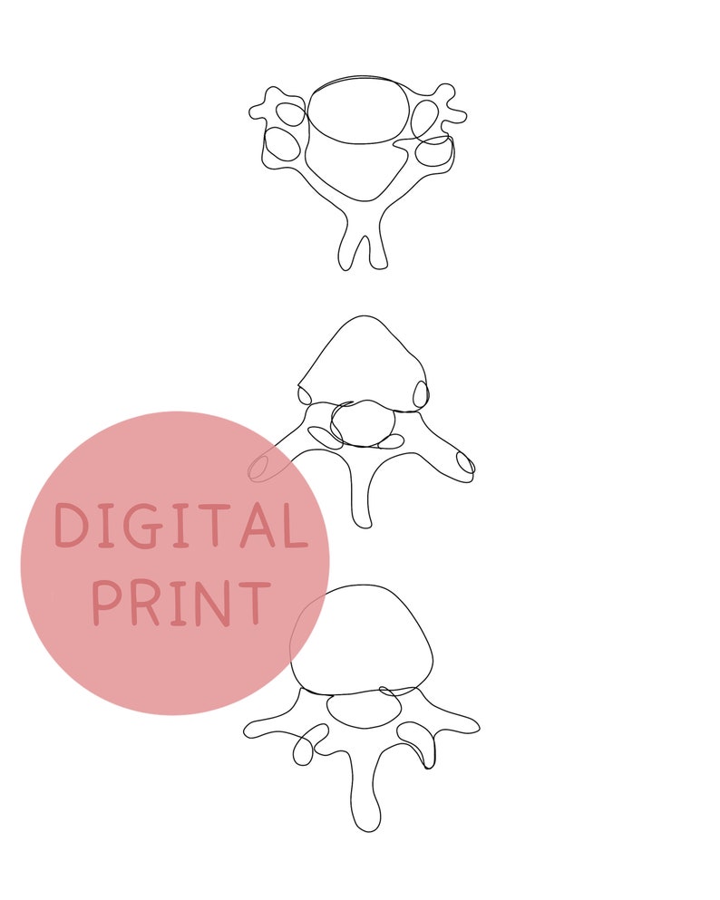 Spinal Vertebrae, Human Anatomy Print, Abstract Line Art, Minimalist ...