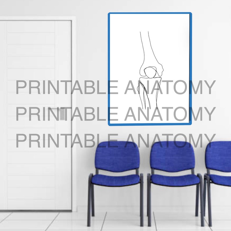 Knee, Human Anatomy Print, Abstract Line Art, Minimalist, Physiotherapy ...