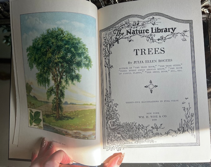 Vintage the Nature Library: Trees | Vintage Plant Botanical Art Book ...