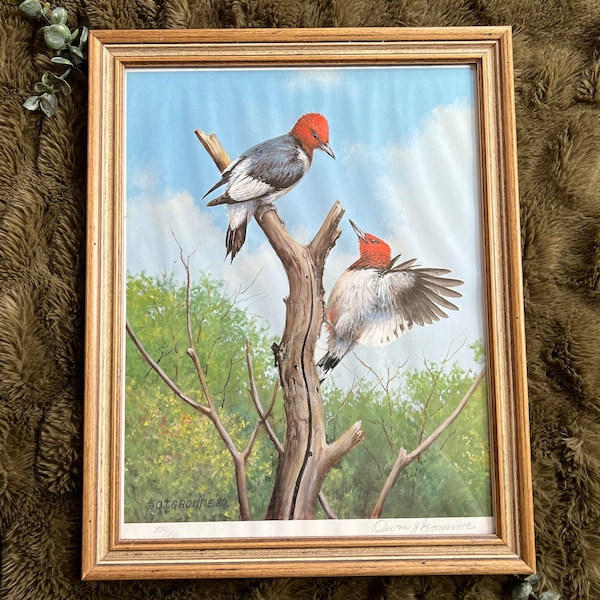 Owen Gromme Print - Etsy