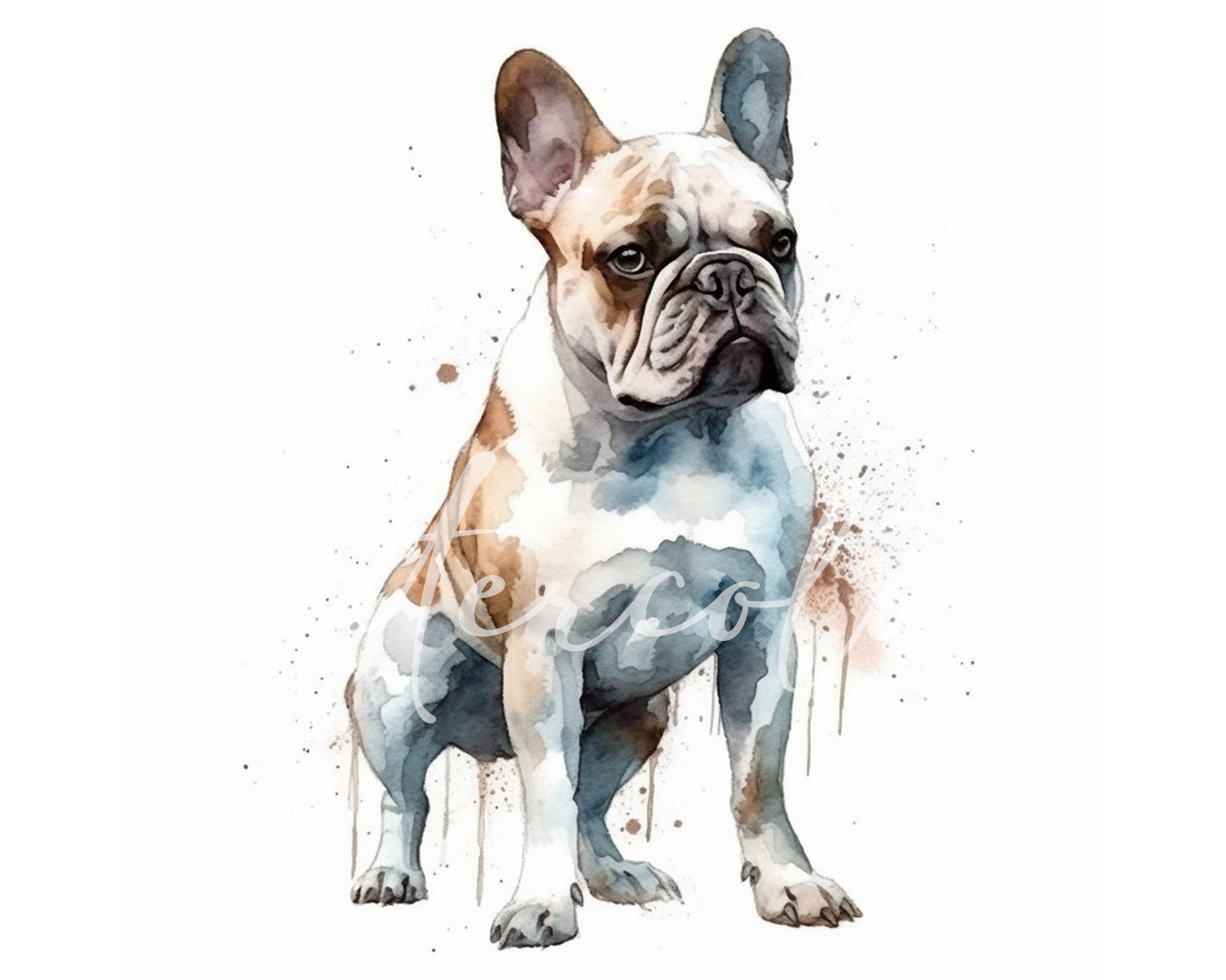 Watercolor French Bulldog Clipart, 12 High Quality Jpgs, Dog Clipart ...