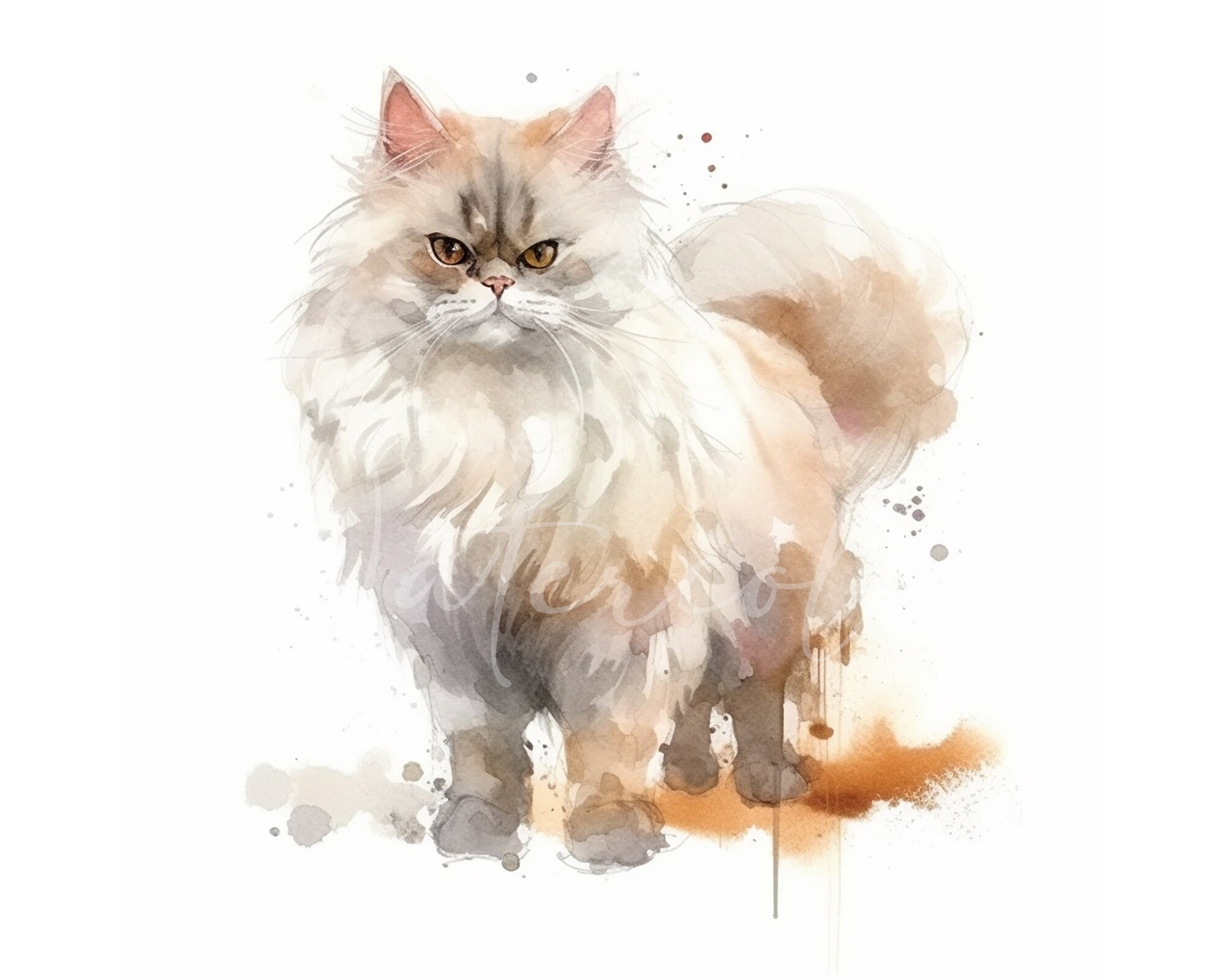 Watercolor Persian Clipart 12 High Quality Jpgs Cat Clipart - Etsy