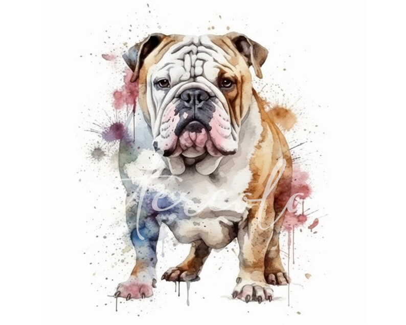 Watercolor English Bulldog Clipart, 12 High Quality Jpgs, Dog Clipart ...