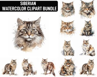 12 High-quality Siberian Cat PNG JPG PDF Cat Clipart Watercolor Card ...