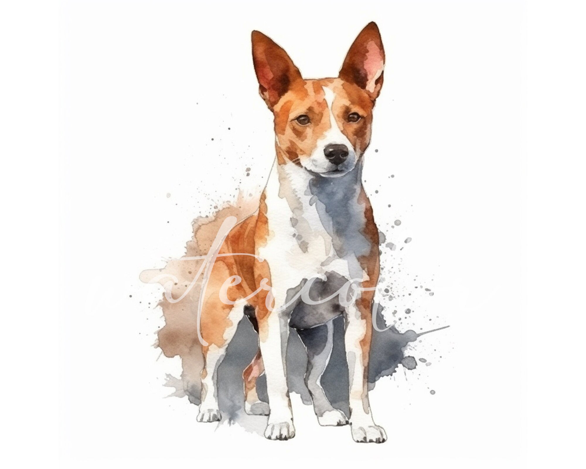 Watercolor Basenji Clipart, 12 High Quality Jpgs, Dog Clipart, Card ...