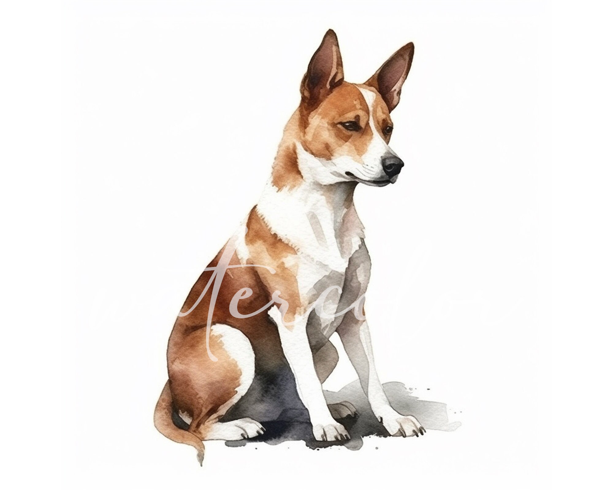 Watercolor Basenji Clipart, 12 High Quality Jpgs, Dog Clipart, Card ...