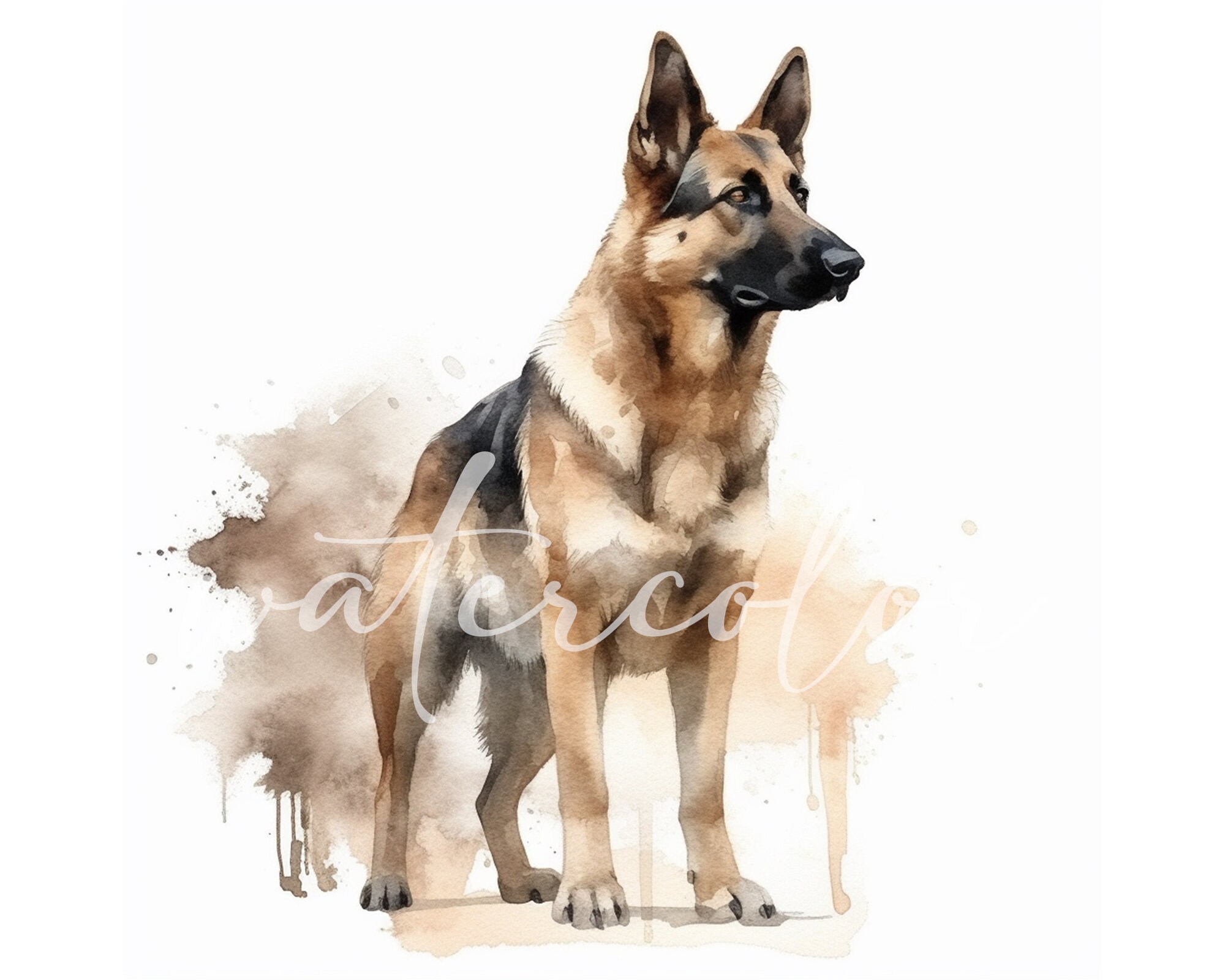 Watercolor German Shepherd Clipart, 12 High Quality Jpgs, Dog Clipart ...