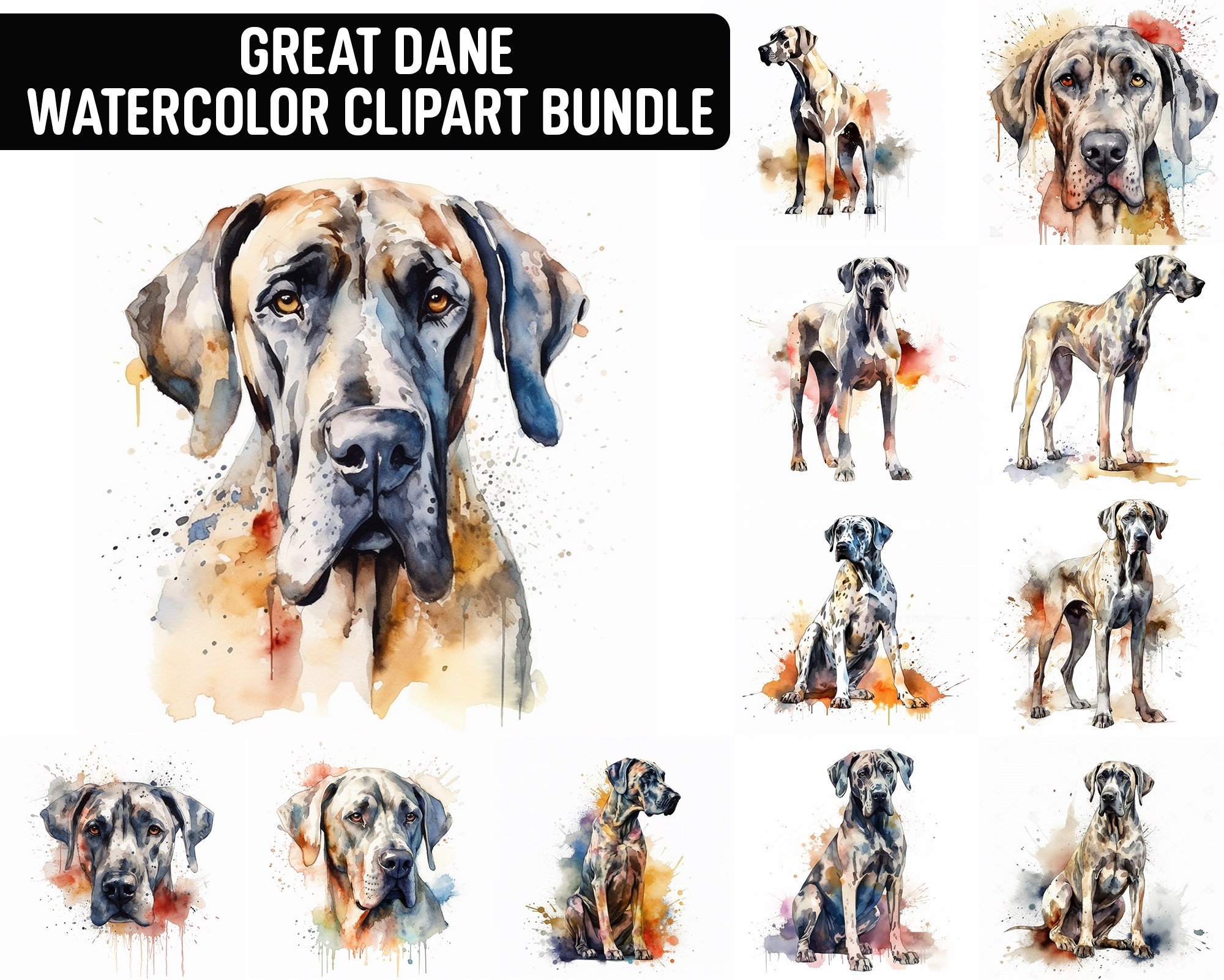 Watercolor Great Dane Clipart, 12 High Quality Jpgs, Dog Clipart, Card ...