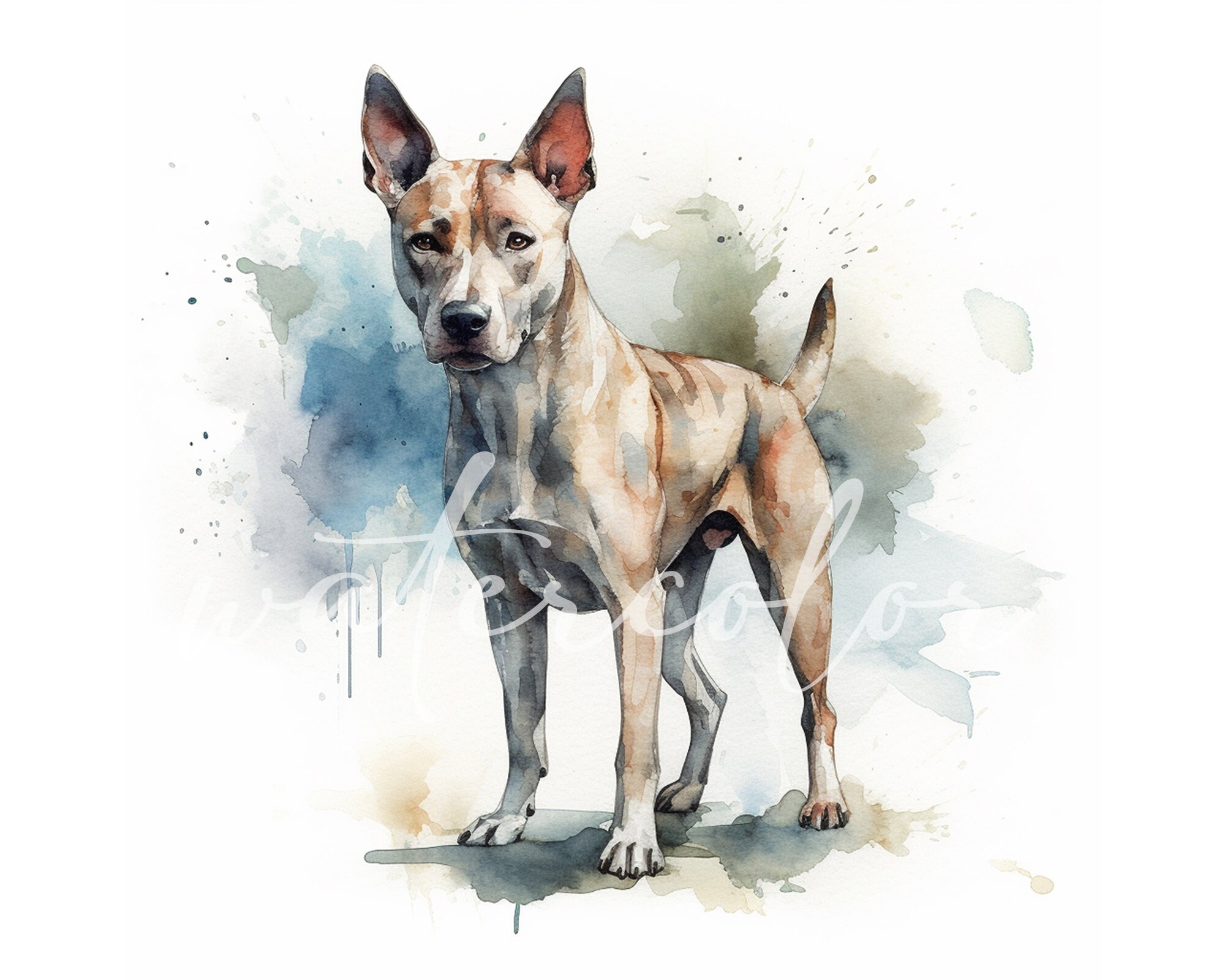 Watercolor Pitsky Clipart, 12 High Quality Jpgs, Dog Clipart, Card ...