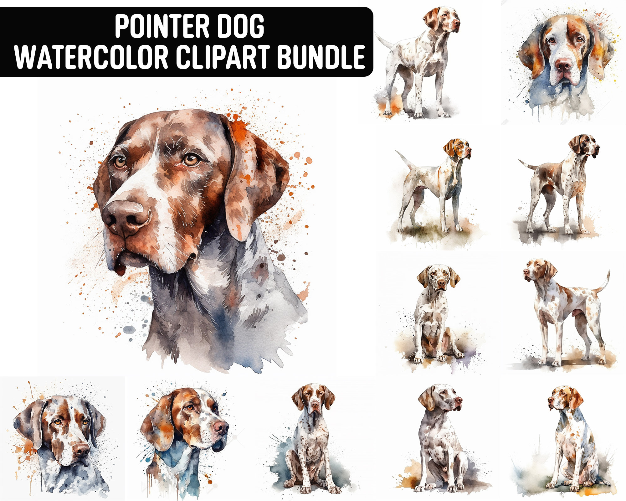 Dog Pointer Clipart
