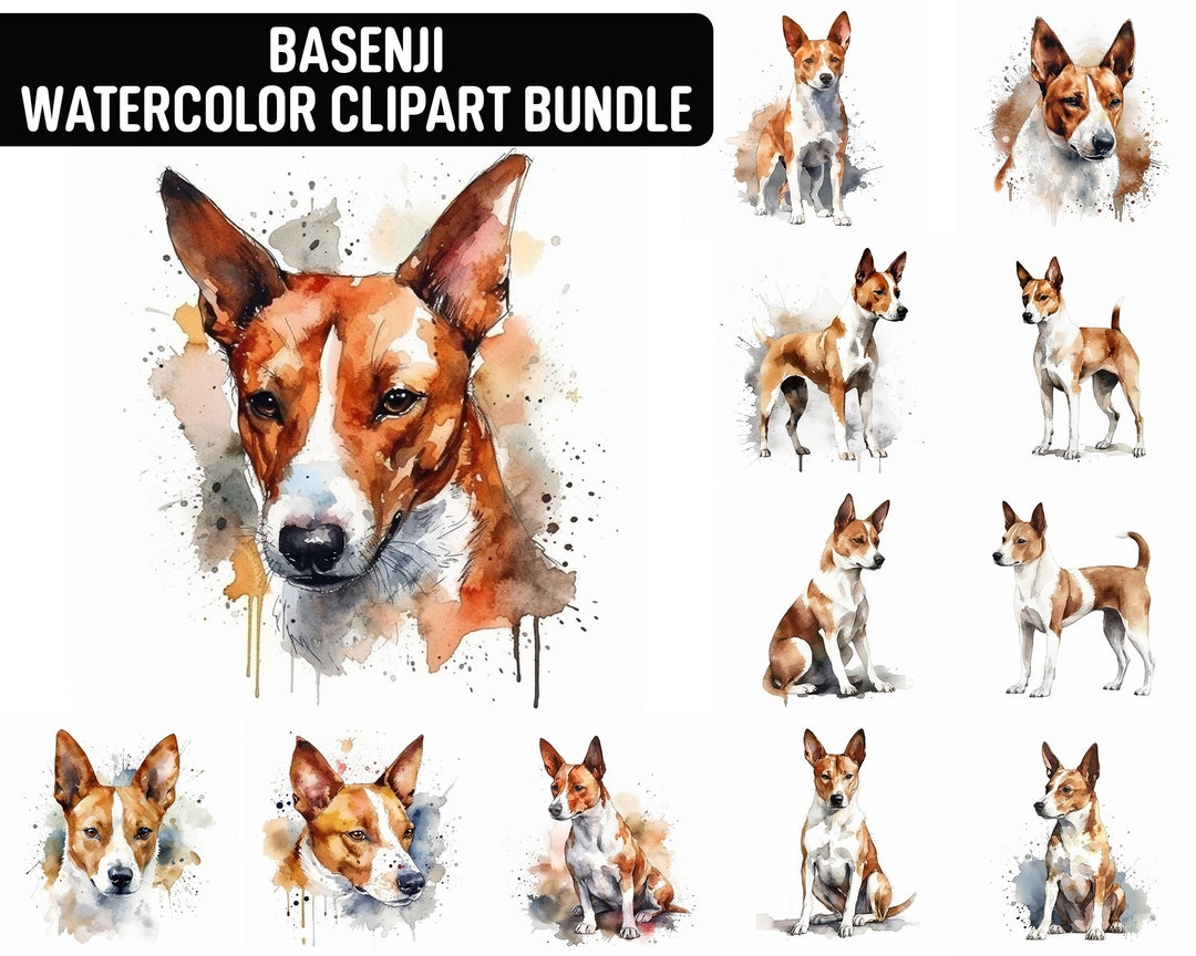 Watercolor Basenji Clipart, 12 High Quality Jpgs, Dog Clipart, Card ...