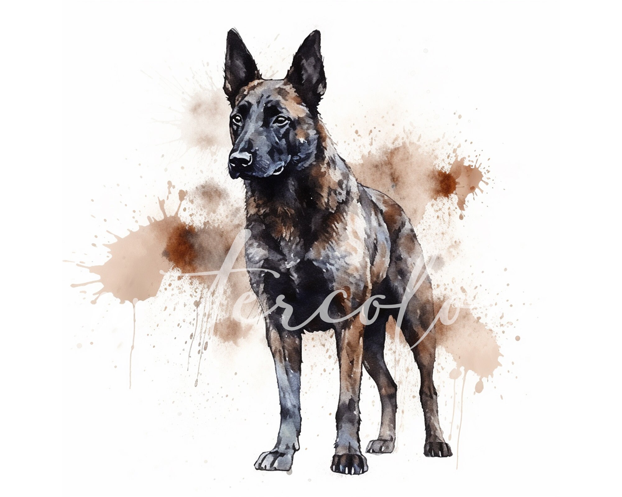 Watercolor Dutch Shepherd Clipart, 12 High Quality Jpgs, Dog Clipart ...