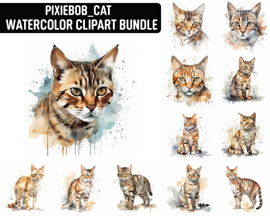 Watercolor Pixiebob Clipart, 12 High Quality Jpgs, Cat Clipart, Card ...