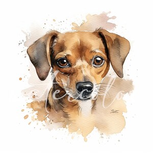 Watercolor Chiweenie Clipart, 12 High Quality Jpgs, Dog Clipart, Card ...