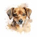 Watercolor Chiweenie Clipart, 12 High Quality Jpgs, Dog Clipart, Card ...