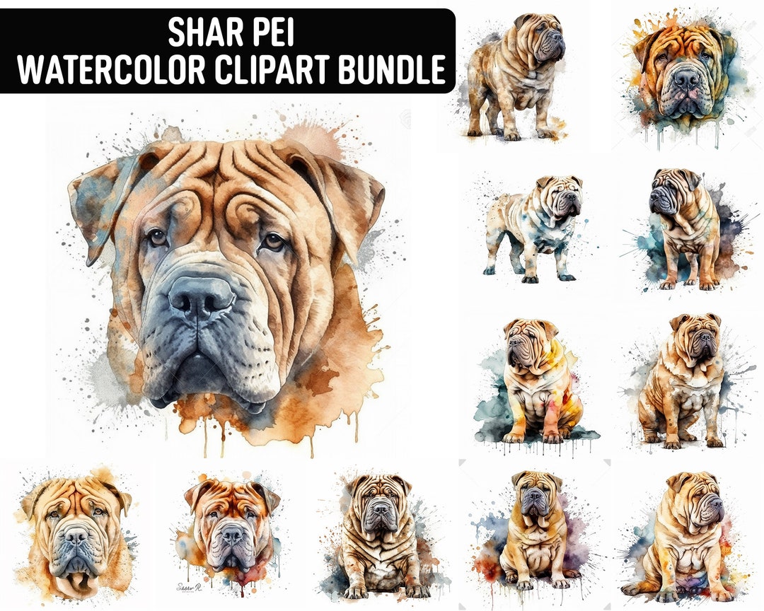 Watercolor Shar Pei Clipart, 12 High Quality Jpgs, Dog Clipart, Card ...
