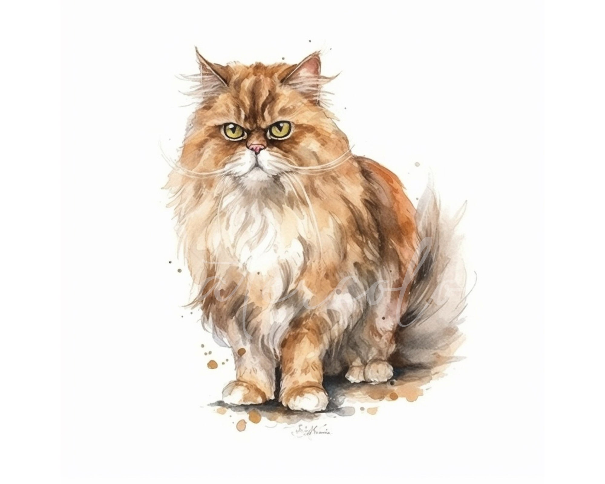 Watercolor Persian Clipart 12 High Quality Jpgs Cat Clipart - Etsy