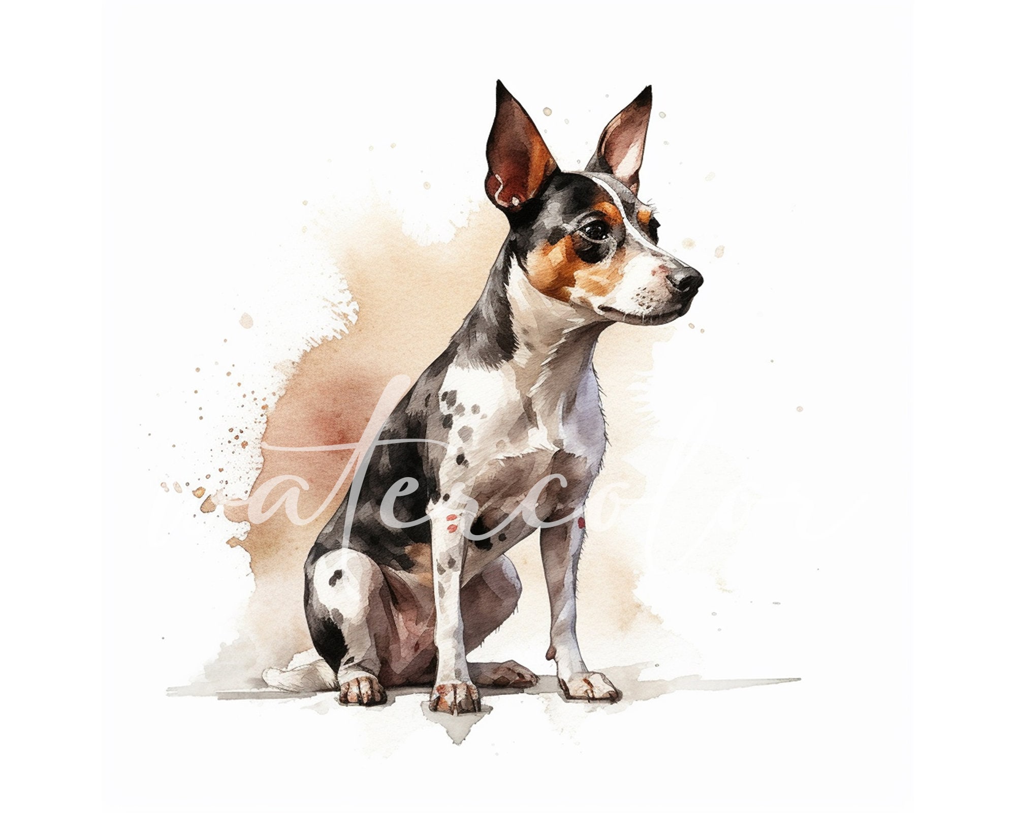 Watercolor Rat Terrier Clipart, 12 High Quality Jpgs, Dog Clipart, Card ...