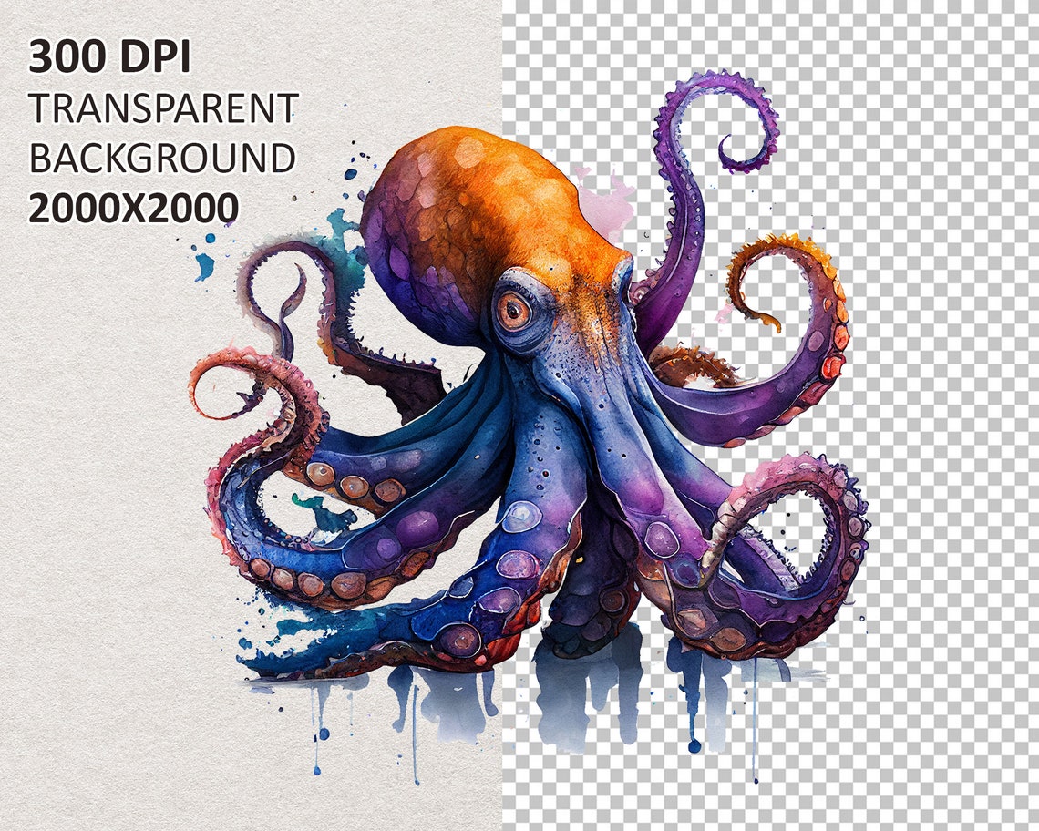 Octopus Clipart, Bundle Png, Sea Life Png, Digital Download, Sea ...