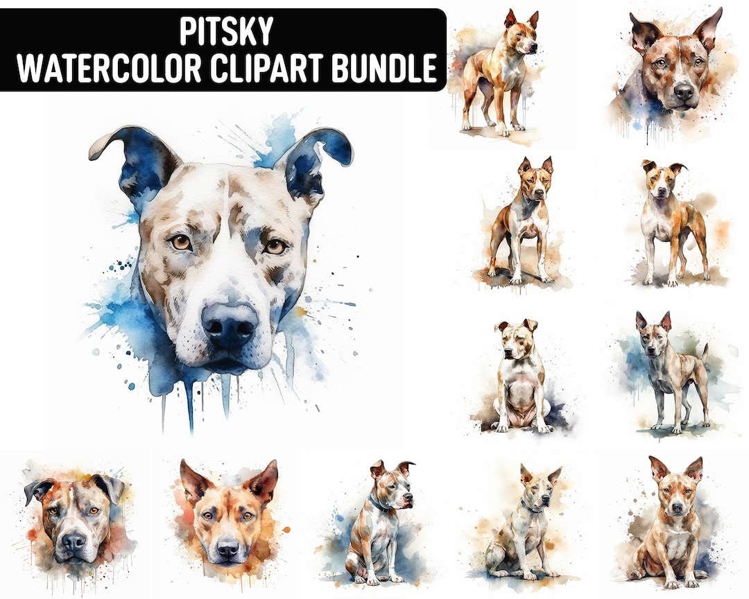 Watercolor Pitsky Clipart, 12 High Quality Jpgs, Dog Clipart, Card ...