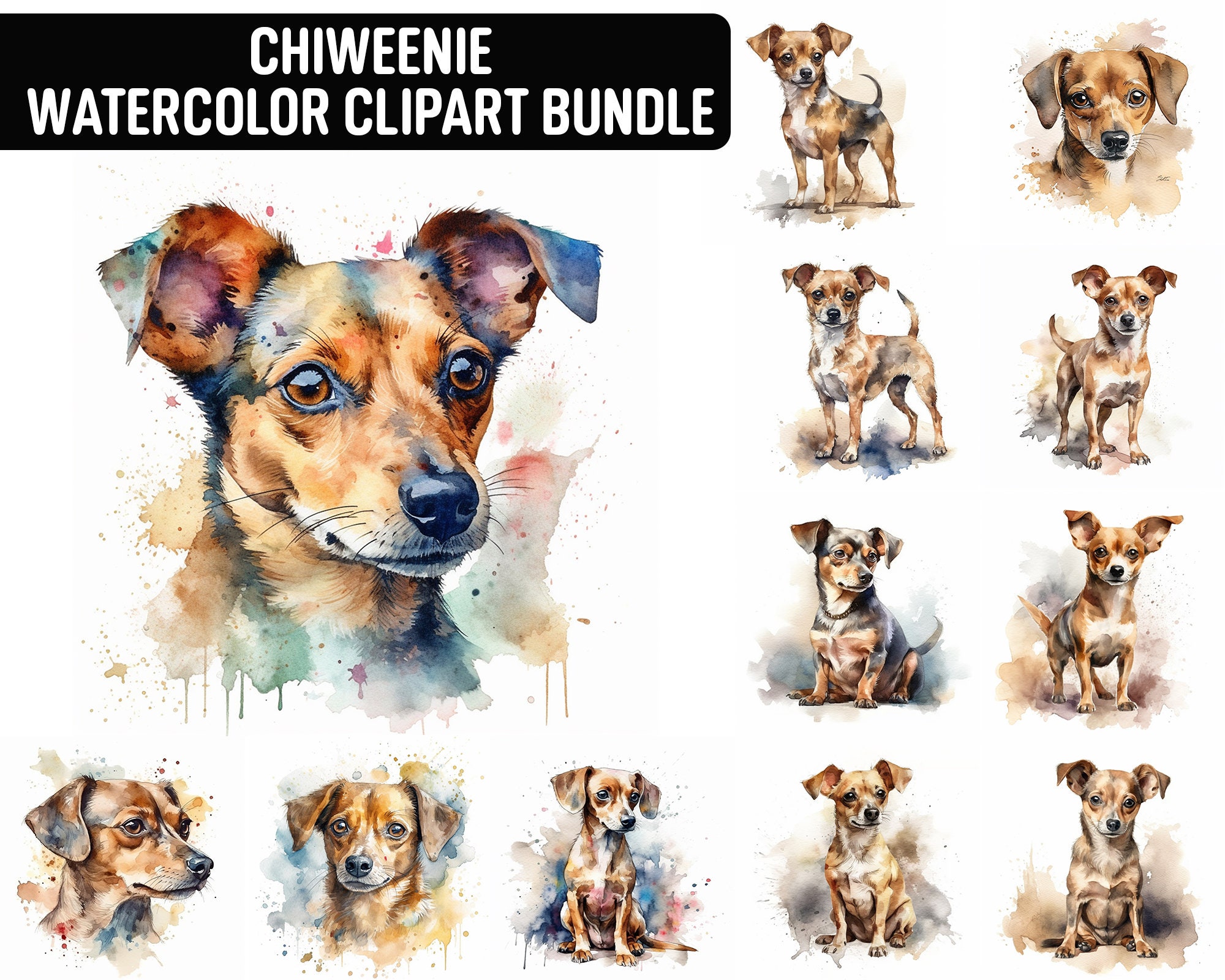 Watercolor Chiweenie Clipart, 12 High Quality Jpgs, Dog Clipart, Card ...