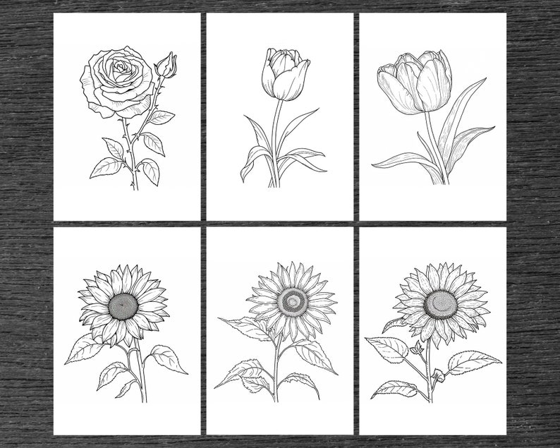 40 Flower Coloring Page, Outline Coloring Page, Fantasy Coloring Page ...