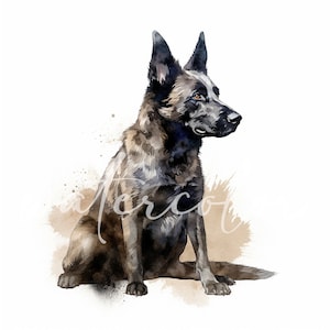Watercolor Dutch Shepherd Clipart, 12 High Quality Jpgs, Dog Clipart ...