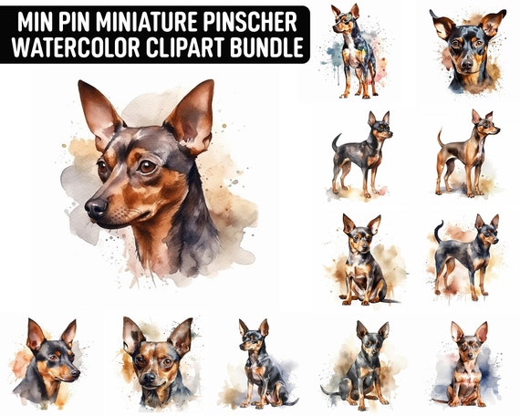 Miniture Pinscher Clipart