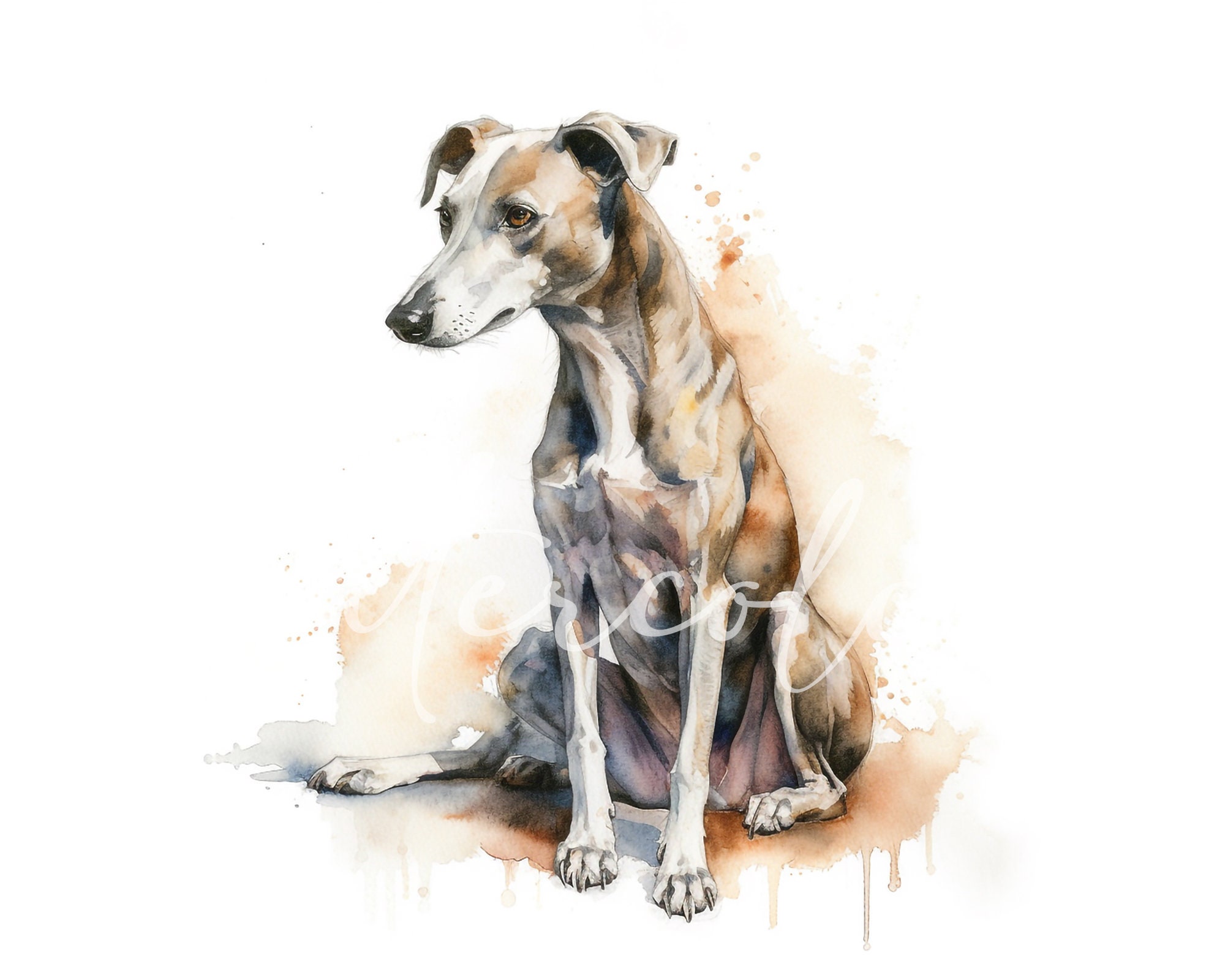 Watercolor Whippet Clipart, 12 High Quality Jpgs, Dog Clipart, Card ...