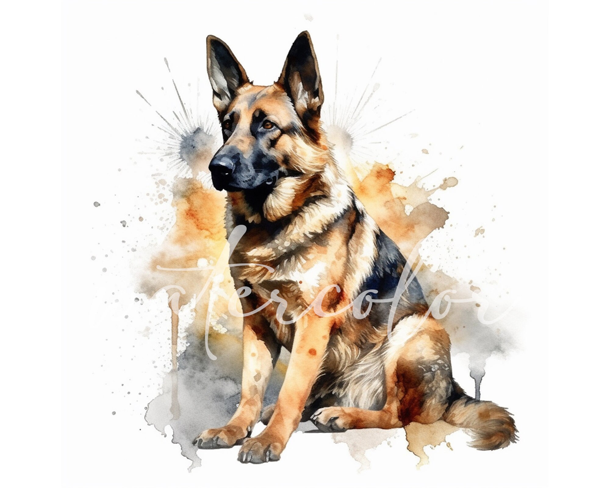 Watercolor German Shepherd Clipart, 12 High Quality Jpgs, Dog Clipart ...