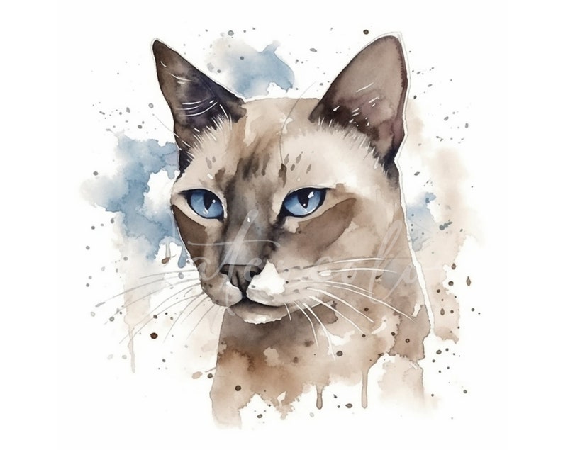 Watercolor Tonkinese Clipart, 12 High Quality Jpgs, Cat Clipart, Card ...