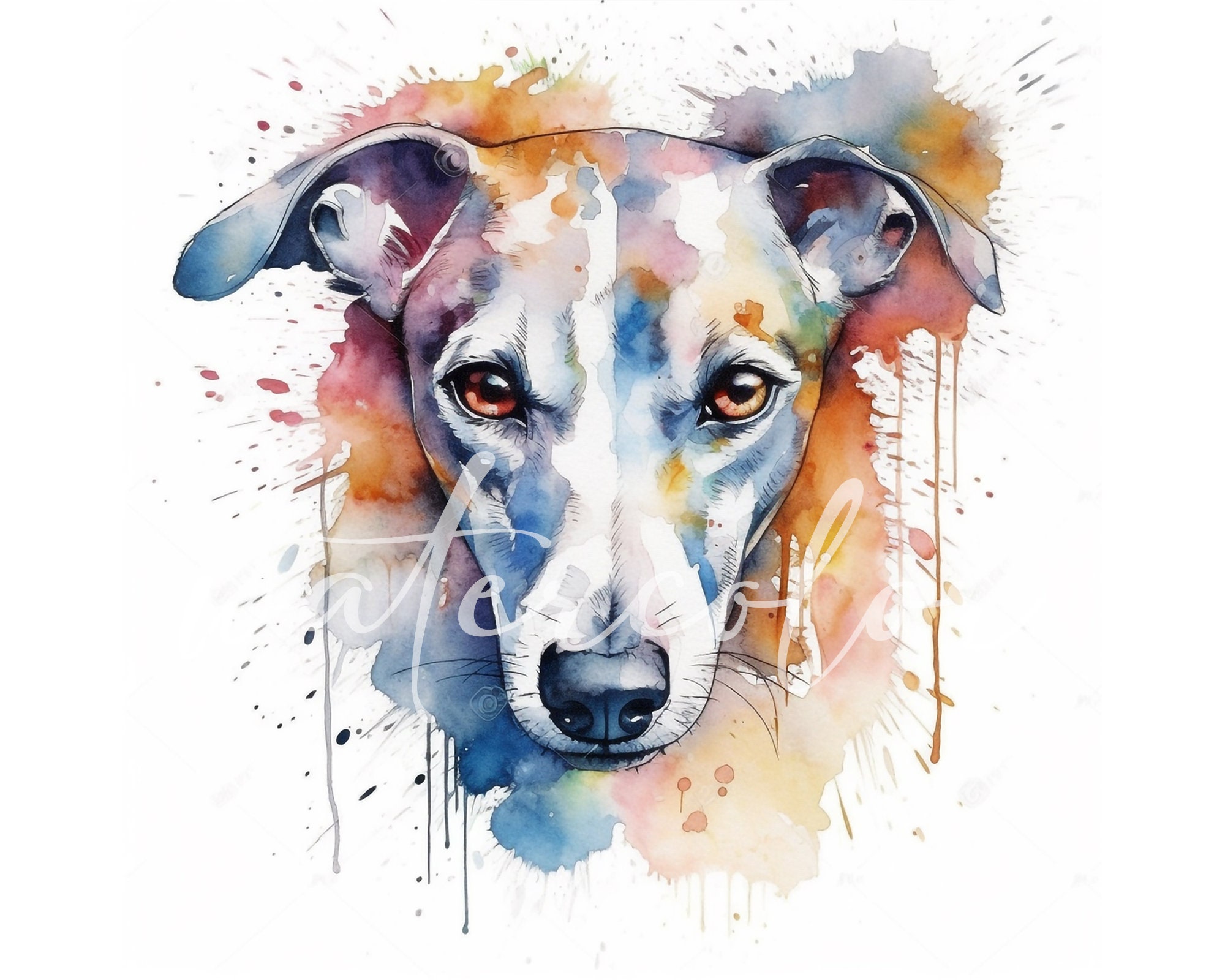 Watercolor Whippet Clipart, 12 High Quality Jpgs, Dog Clipart, Card ...