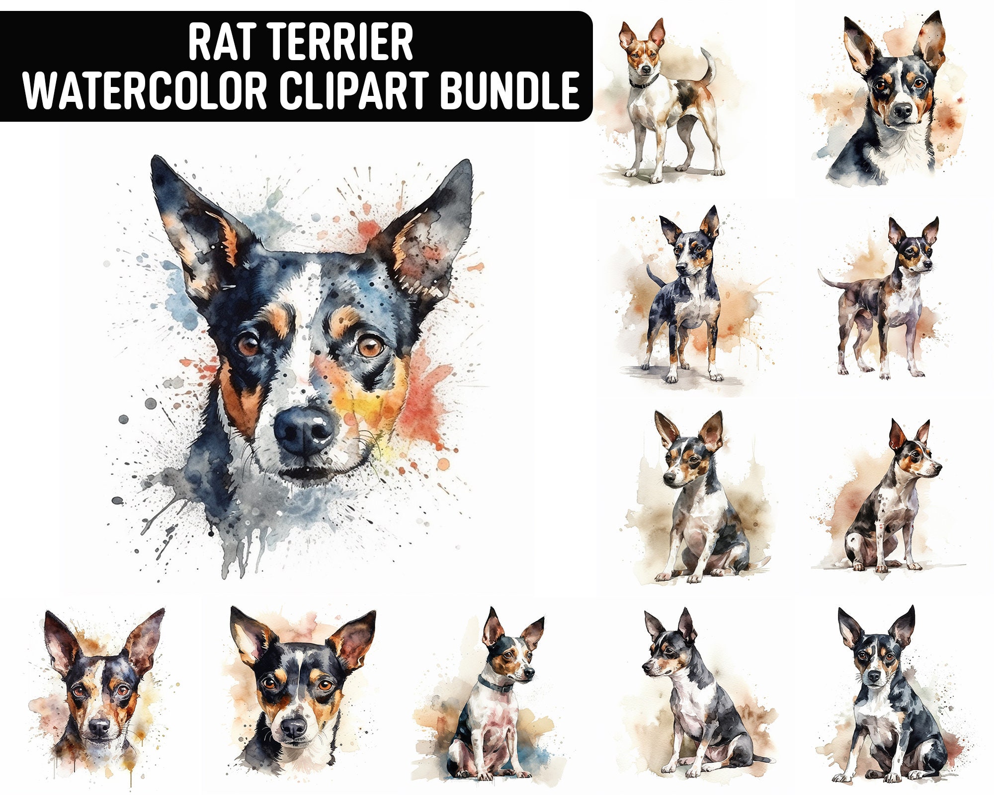 Watercolor Rat Terrier Clipart, 12 High Quality Jpgs, Dog Clipart, Card ...