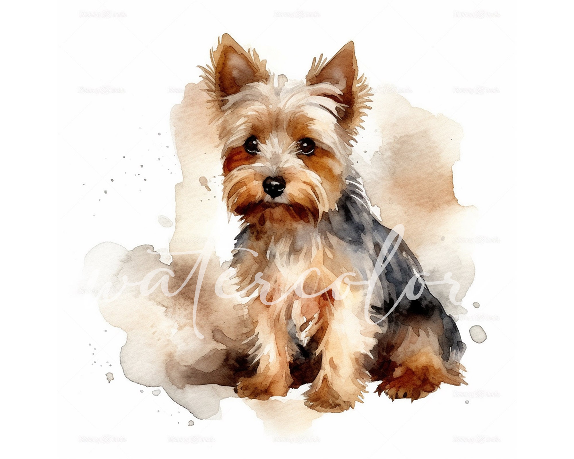 Watercolor Yorkshire Terrier Clipart 12 High Quality Jpgs - Etsy