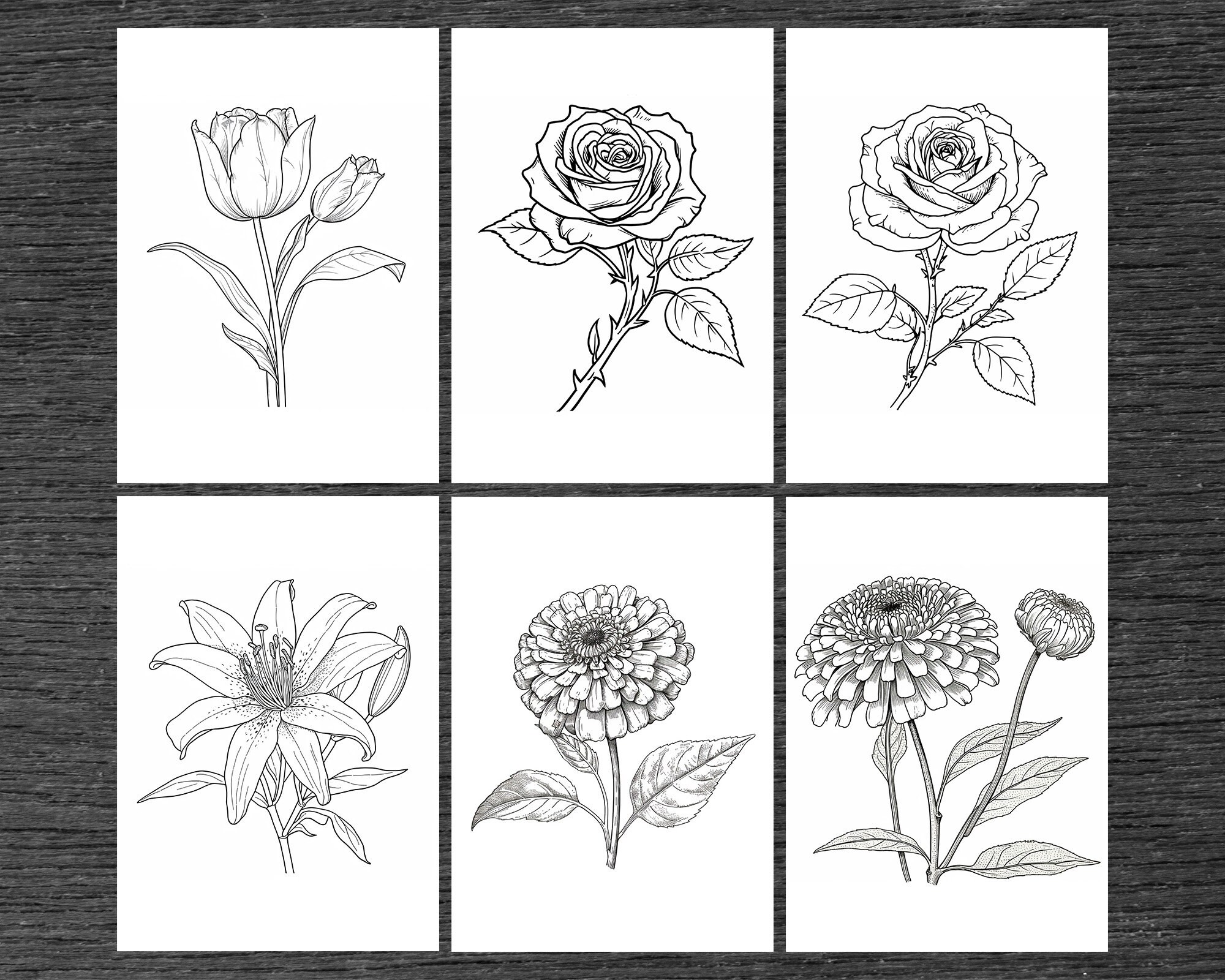 40 Flower Coloring Page, Outline Coloring Page, Fantasy Coloring Page ...