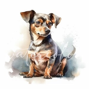 Watercolor Chiweenie Clipart, 12 High Quality Jpgs, Dog Clipart, Card ...