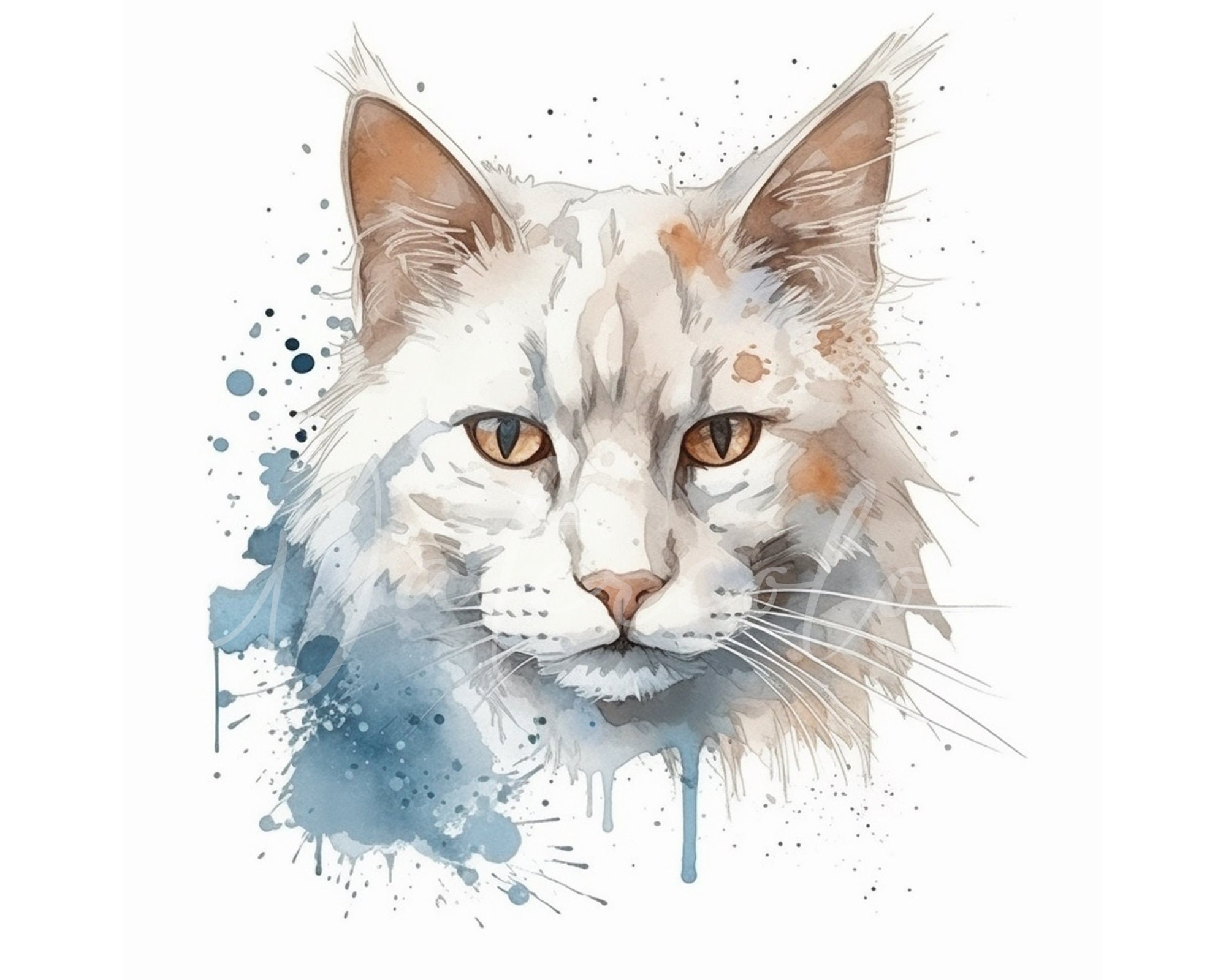 Watercolor Turkish Angora Clipart 12 High Quality Jpgs Cat - Etsy