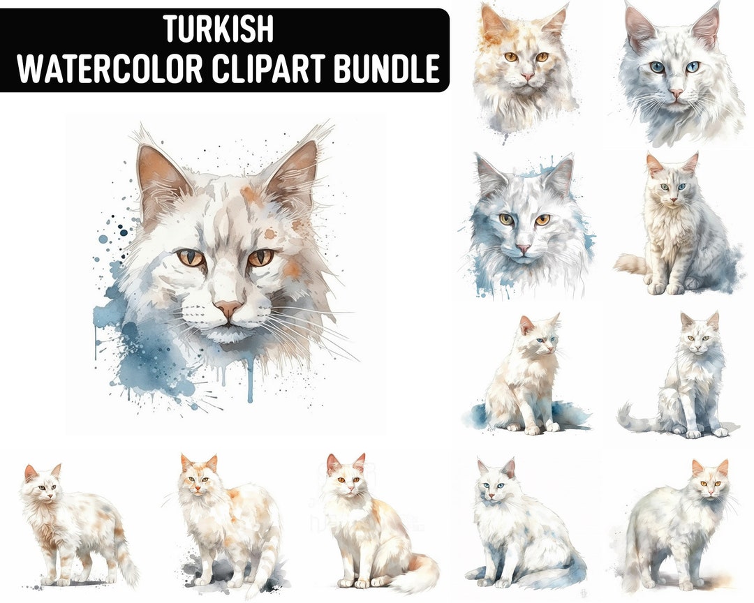 Watercolor Turkish Angora Clipart 12 High Quality Jpgs Cat - Etsy