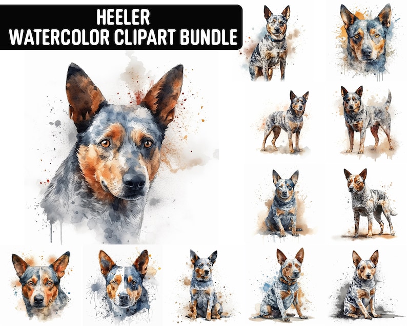 Watercolor Heeler Clipart, 12 High Quality Jpgs, Dog Clipart, Card ...