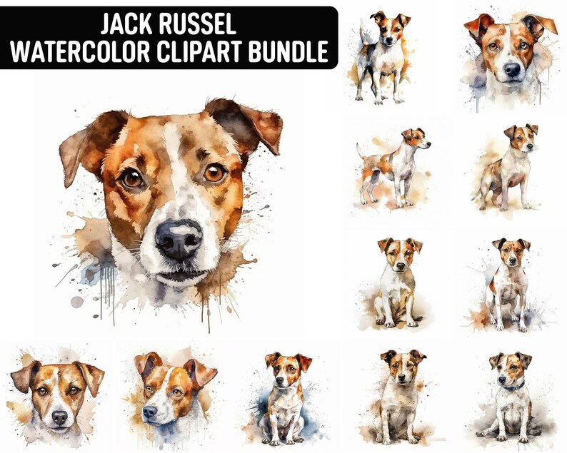 Watercolor Jack Russel Clipart, 12 High Quality Jpgs, Dog Clipart, Card ...