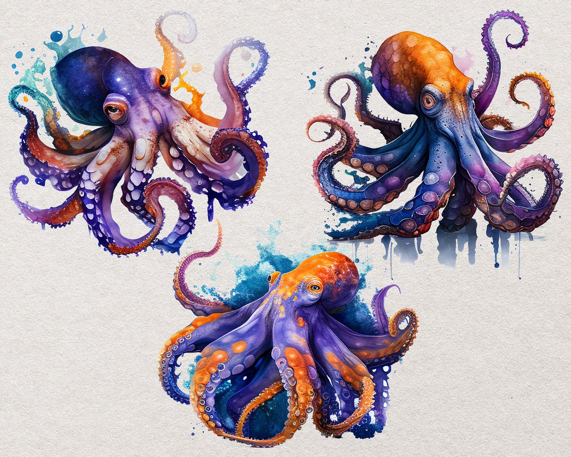 Octopus Clipart, Bundle Png, Sea Life Png, Digital Download, Sea ...