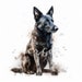 Watercolor Dutch Shepherd Clipart, 12 High Quality Jpgs, Dog Clipart ...