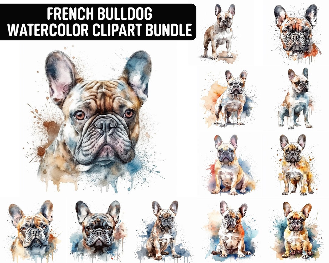 Watercolor French Bulldog Clipart, 12 High Quality Jpgs, Dog Clipart ...