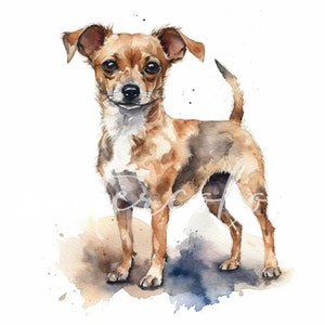 Watercolor Chiweenie Clipart, 12 High Quality Jpgs, Dog Clipart, Card ...