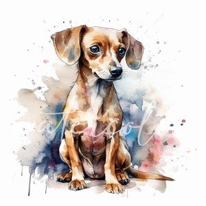 Watercolor Chiweenie Clipart, 12 High Quality Jpgs, Dog Clipart, Card ...